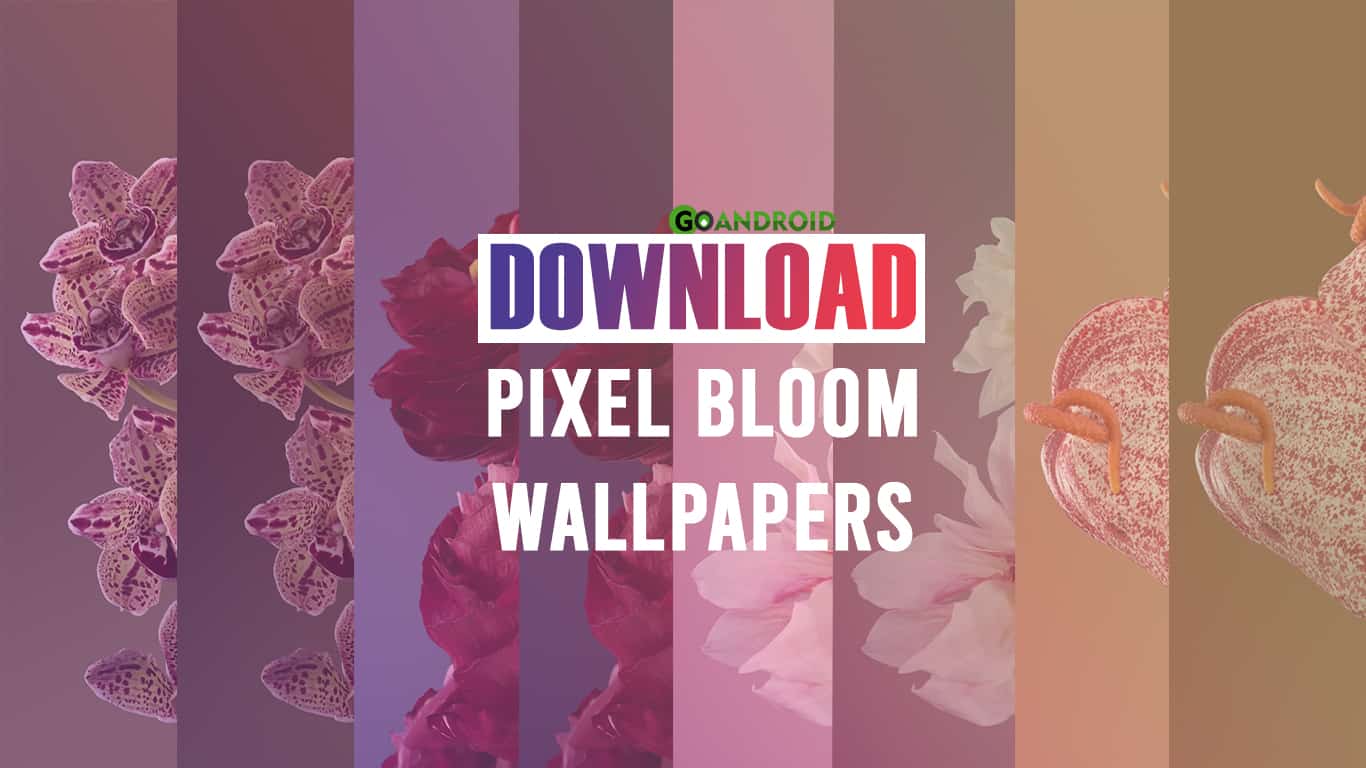 Google rolls out Pixel Live Bloom wallpapers [Download] - GoAndroid